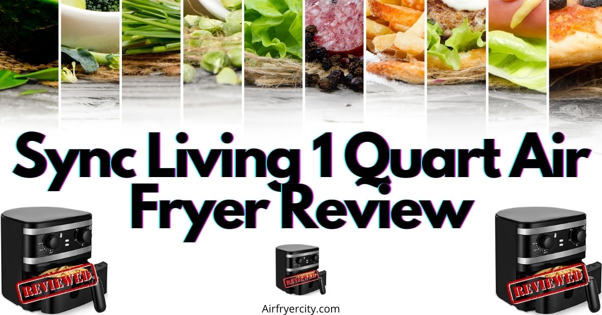 Sync Living 1 Quart Air Fryer Review – All You Need To Know